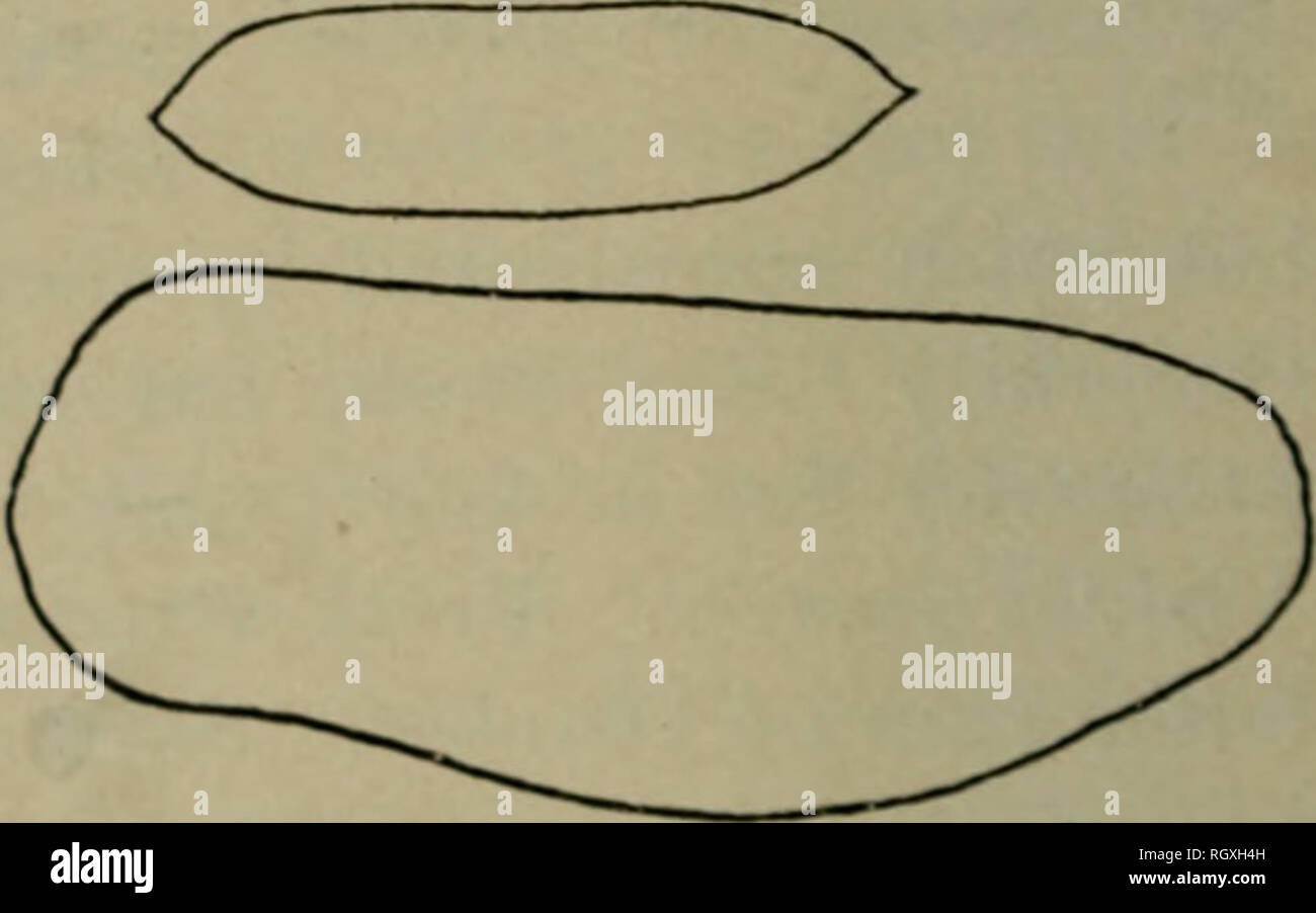 Two fifths natural size hi-res stock photography and images - Alamy