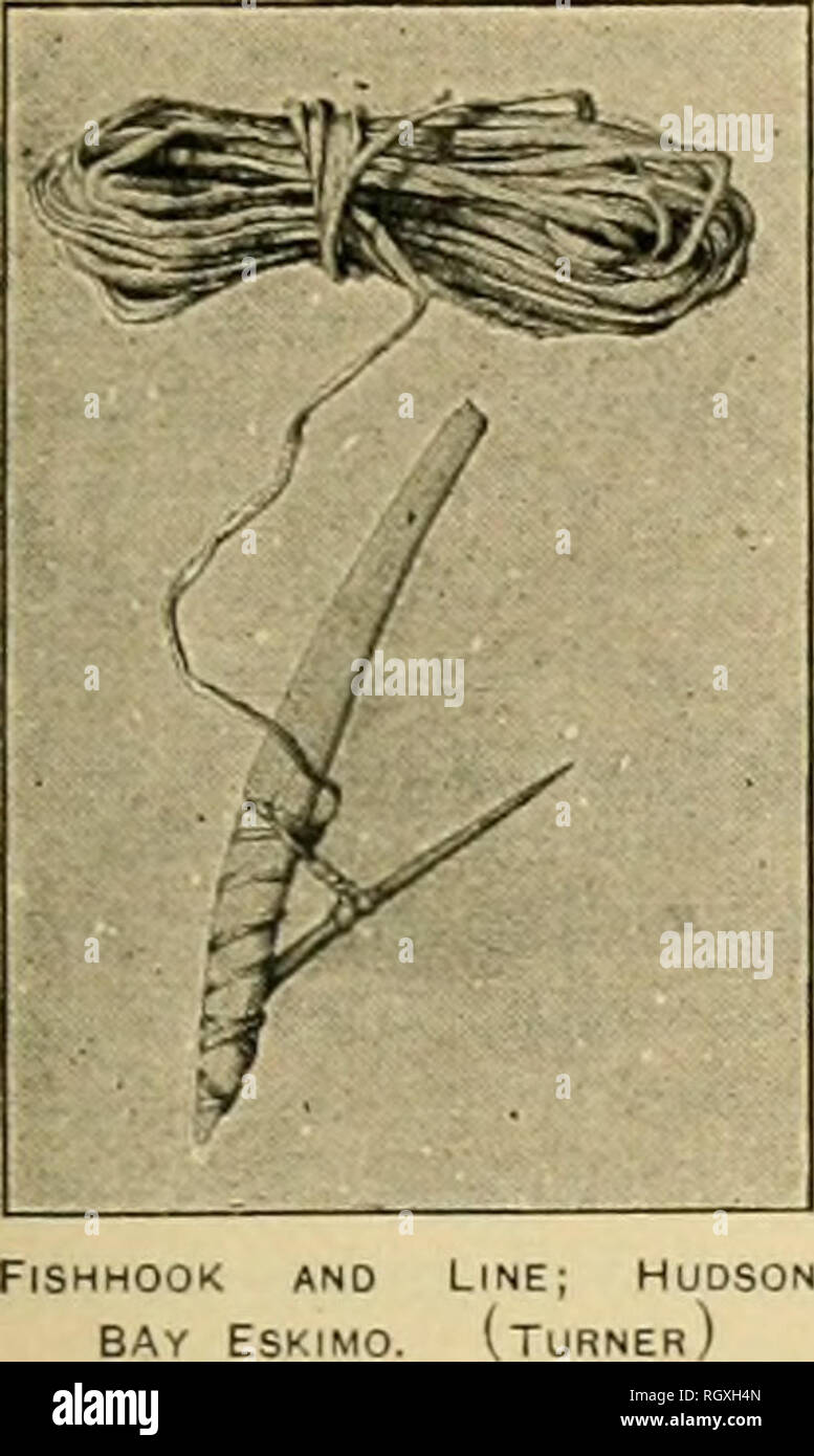 Fish hook cactus hi-res stock photography and images - Alamy