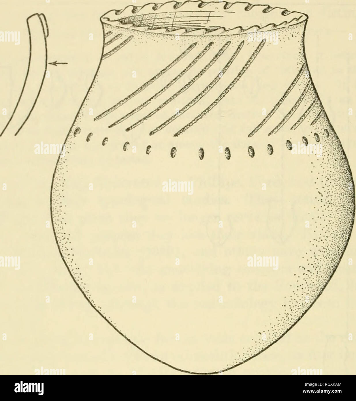 . Bulletin. Ethnology. 154 BUREAU OF AMERICAN ETHNOLOGY [Bull. 182 ...