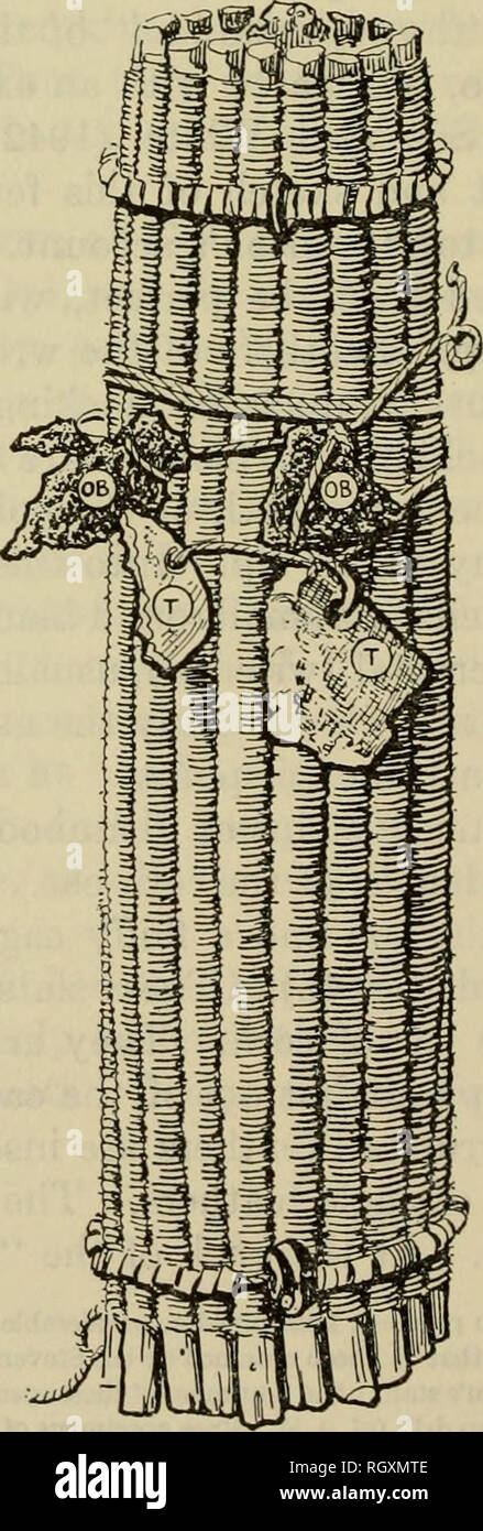 Splint images hi-res stock photography and images - Alamy