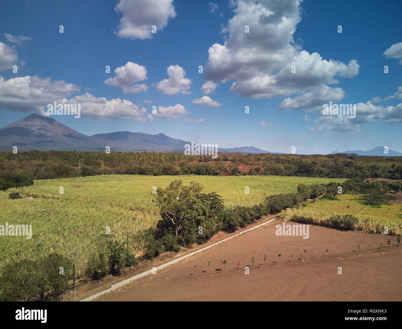 Volcano agriculture hi-res stock photography and images - Alamy