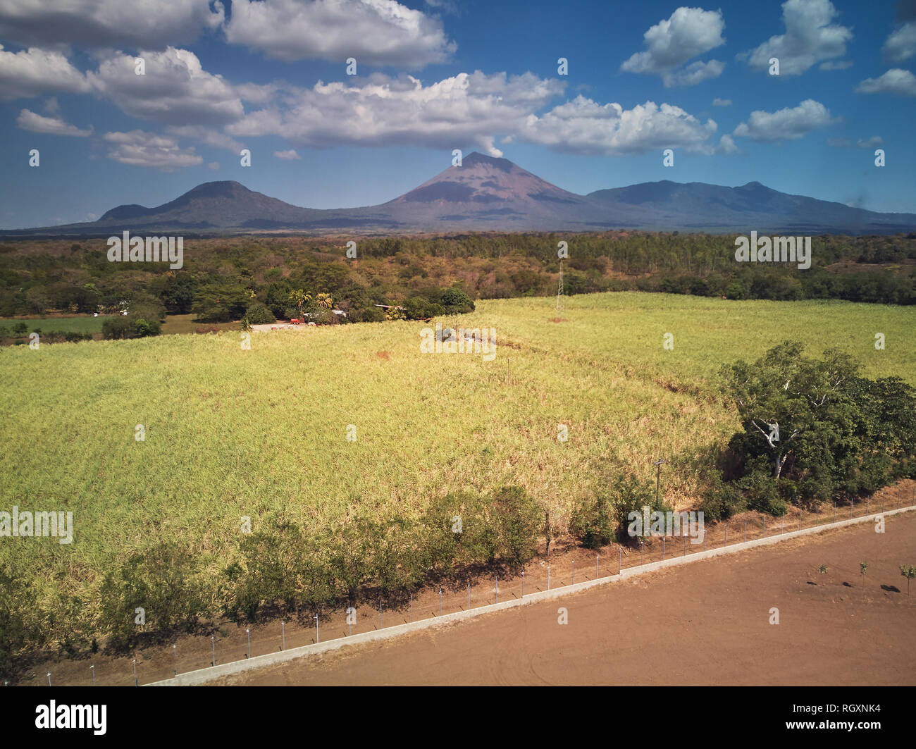Big farm near volcano. Green field with sugarcane Stock Photo - Alamy