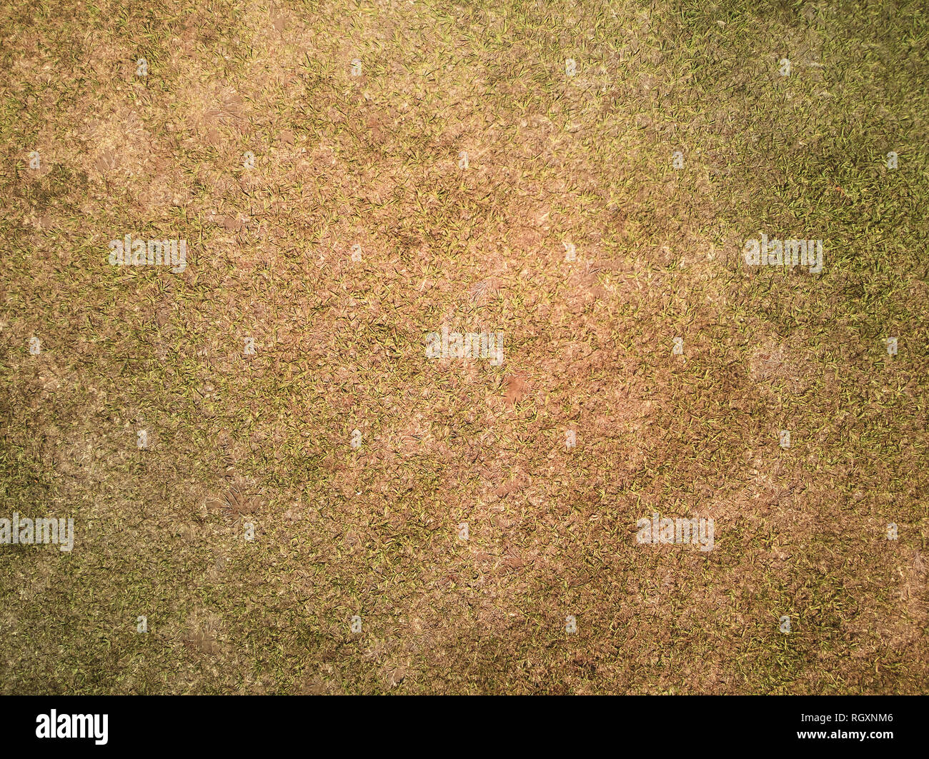 Background texture dry leaves close hi-res stock photography and images ...