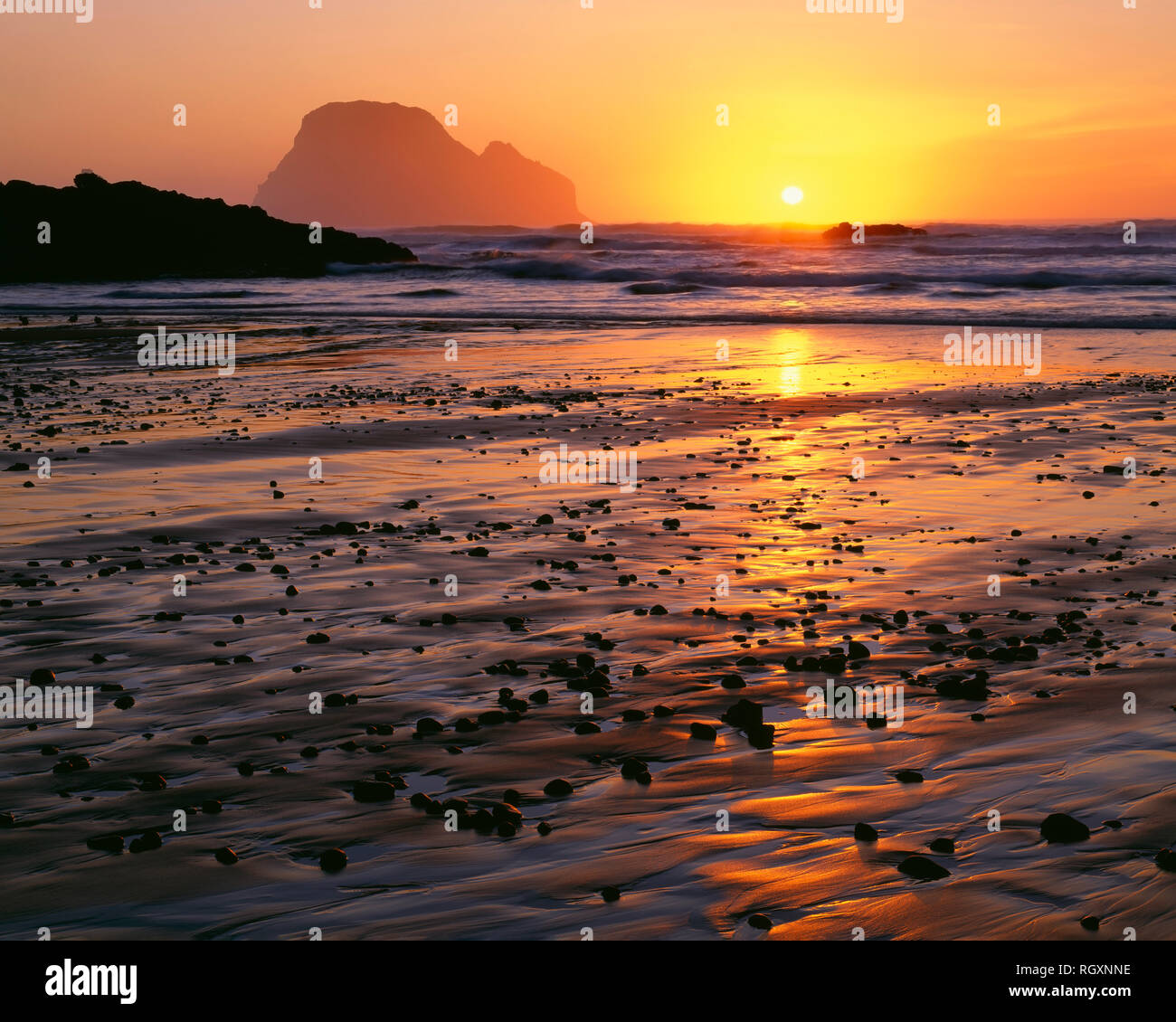 USA, Oregon, Sunset, tide-washed sand and Three Arch Rocks, near ...