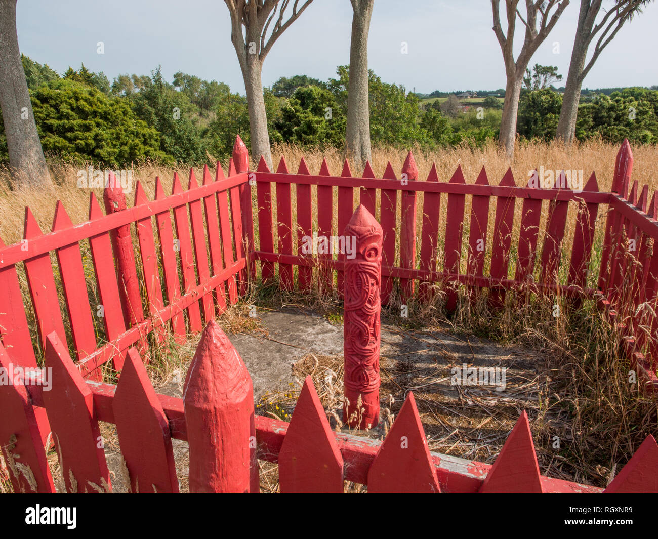 Hapu new zealand hi-res stock photography and images - Alamy