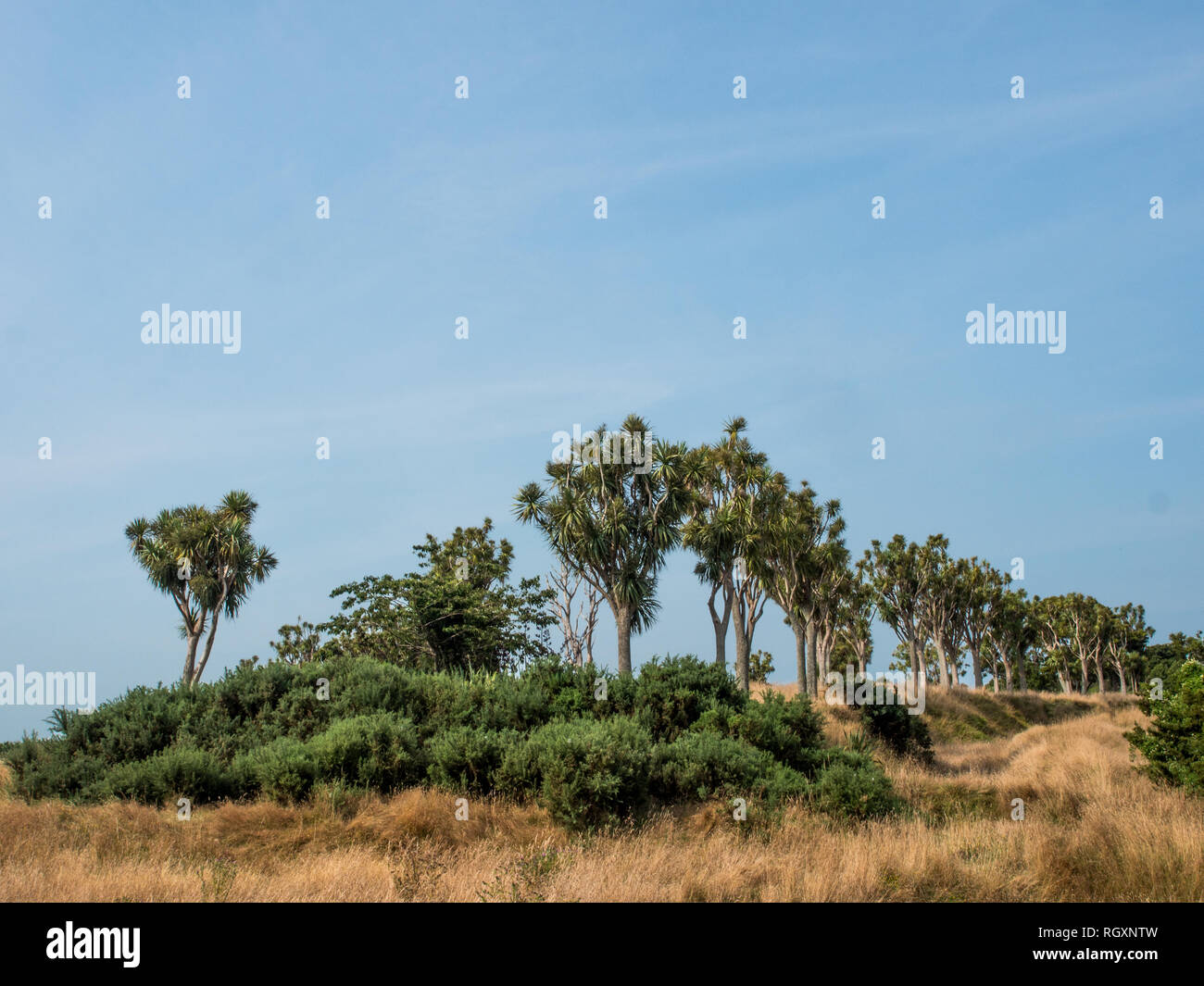 Ngati tupaia hapu ngati ruanui hi-res stock photography and images - Alamy