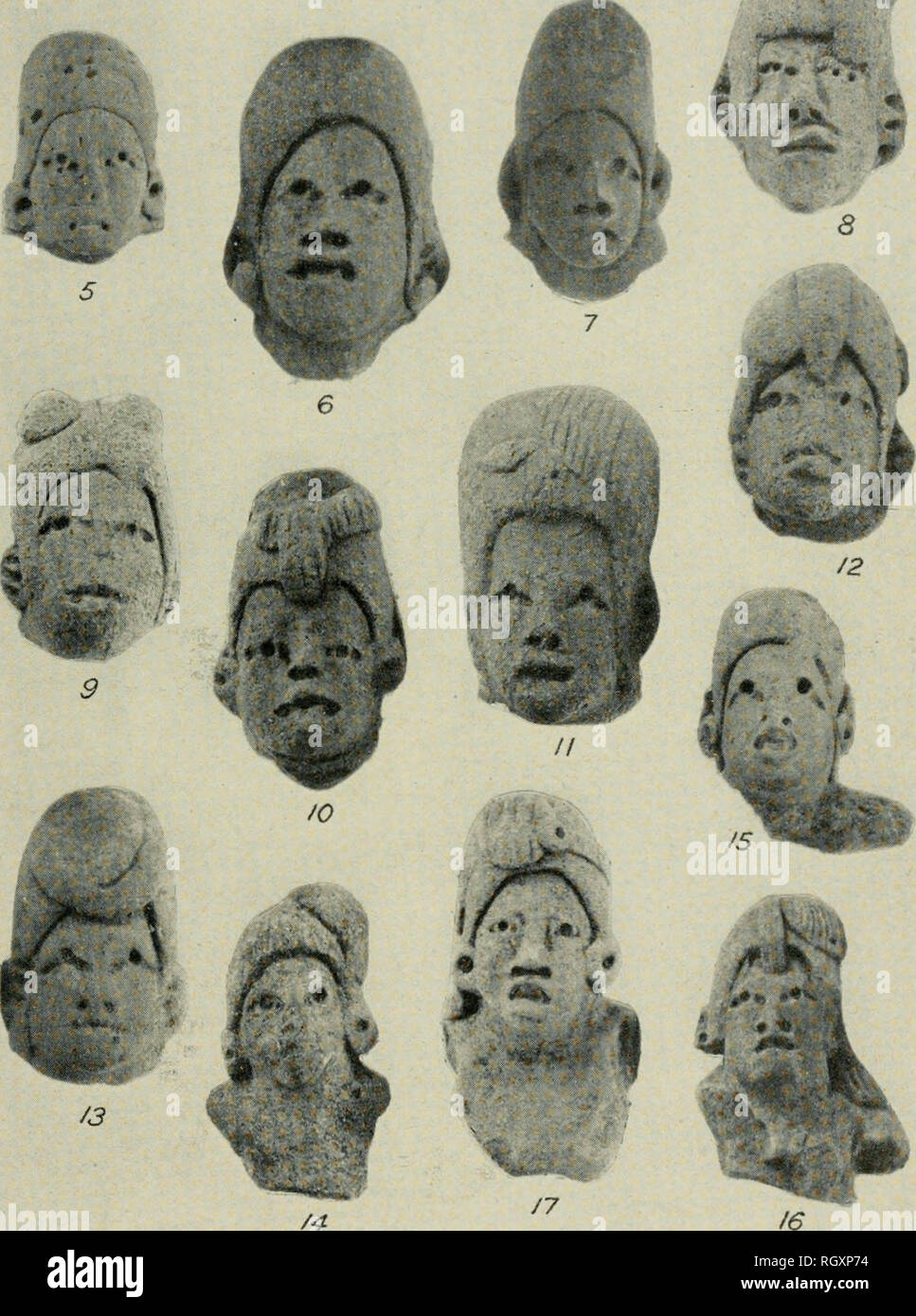 Prognathous hi-res stock photography and images - Alamy