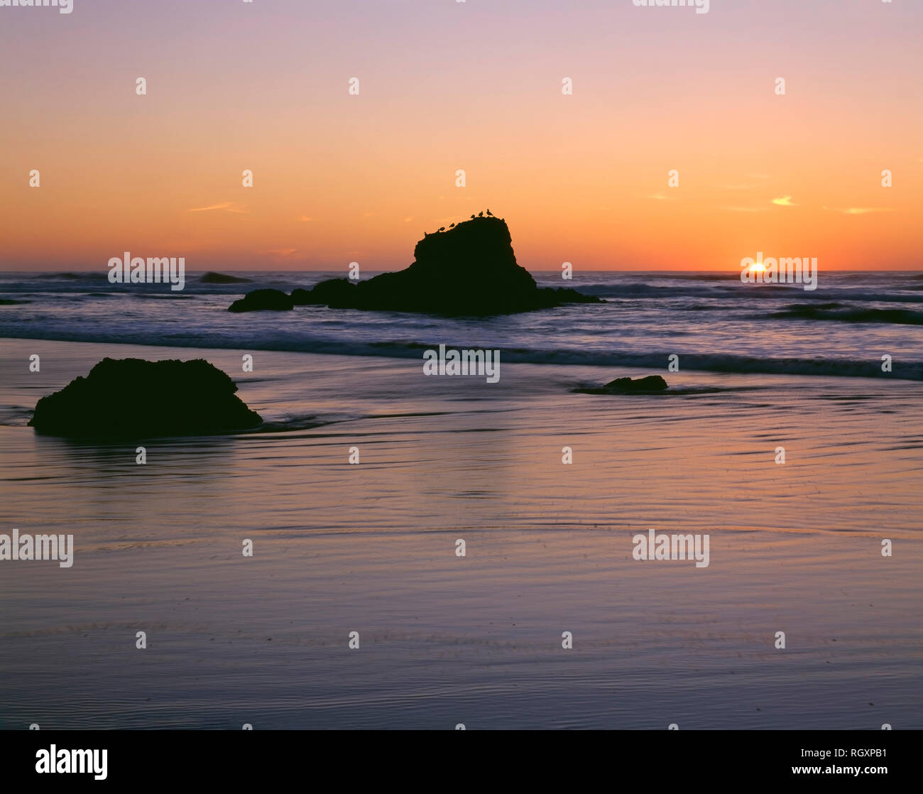 Oregon cannon beach sunset hi-res stock photography and images - Alamy