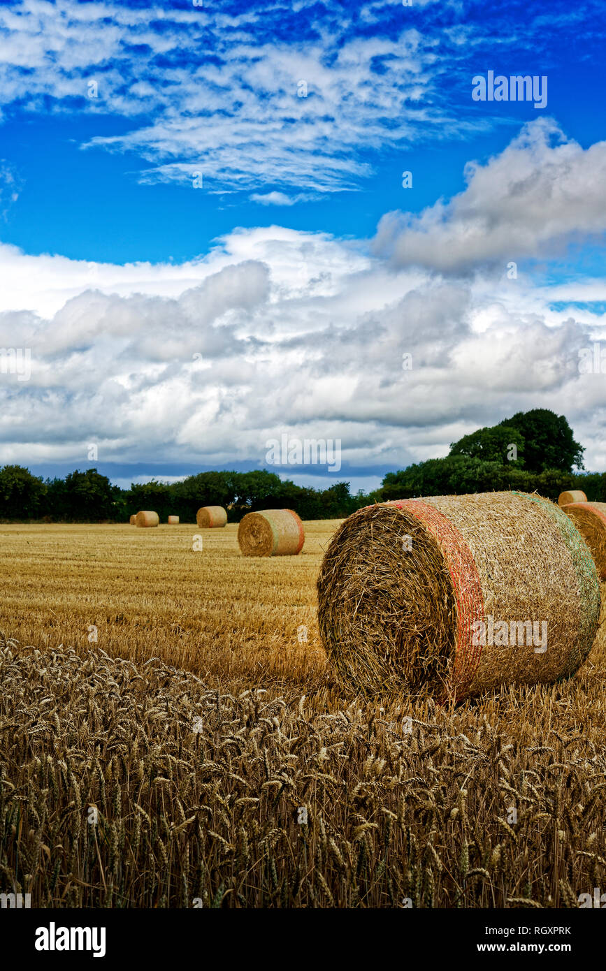 Arthur's Stone, Herefordshire is a Neolithic chambered tomb, or Dolmen ...