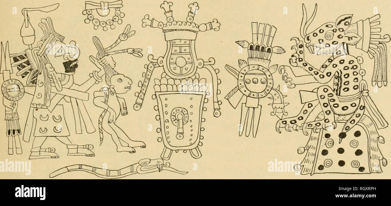 Maya Codex High Resolution Stock Photography and Images - Alamy