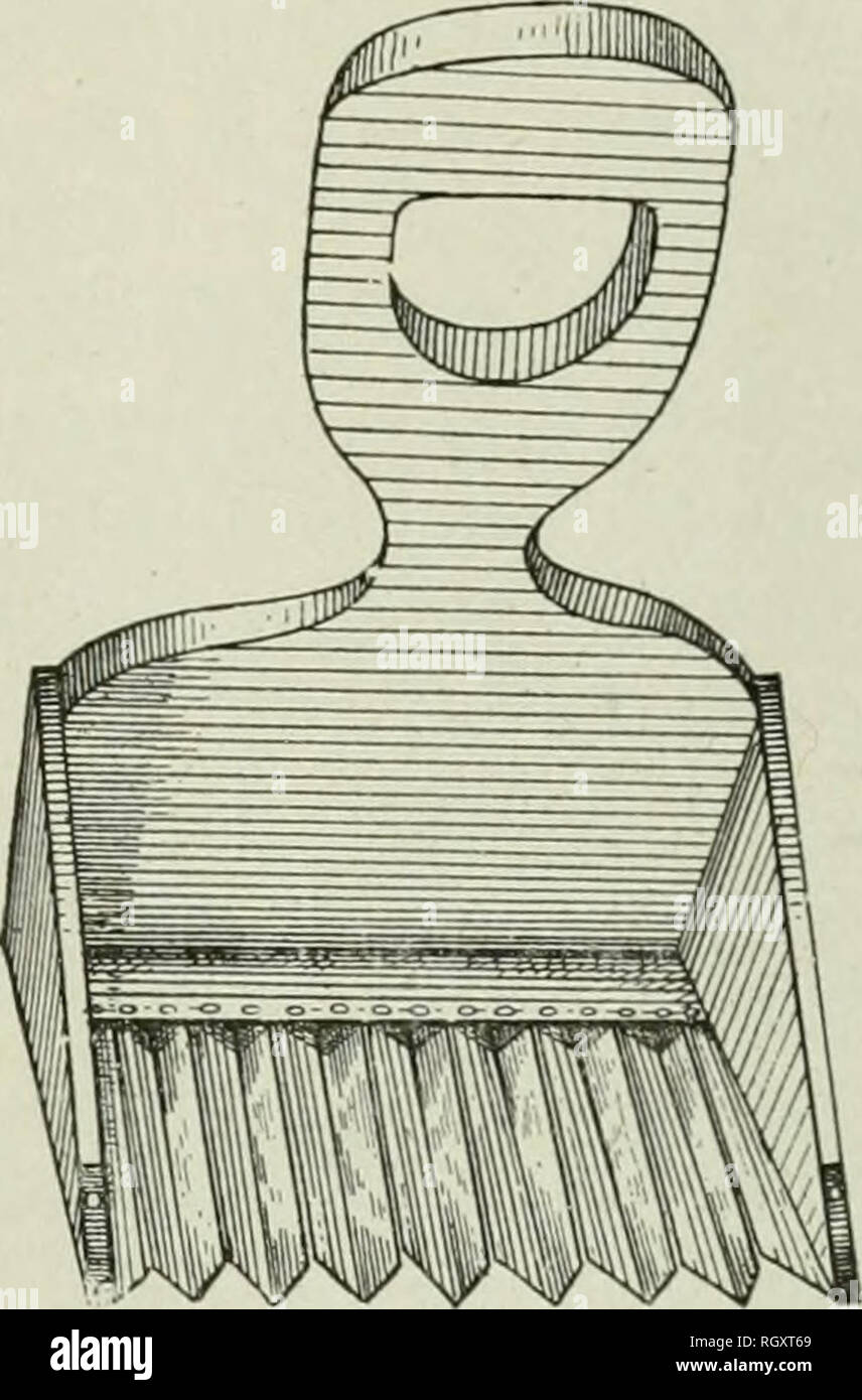 . Bulletin. 1901-13. Agriculture; Agriculture. APPLIANCES FOR STRIPPING ...