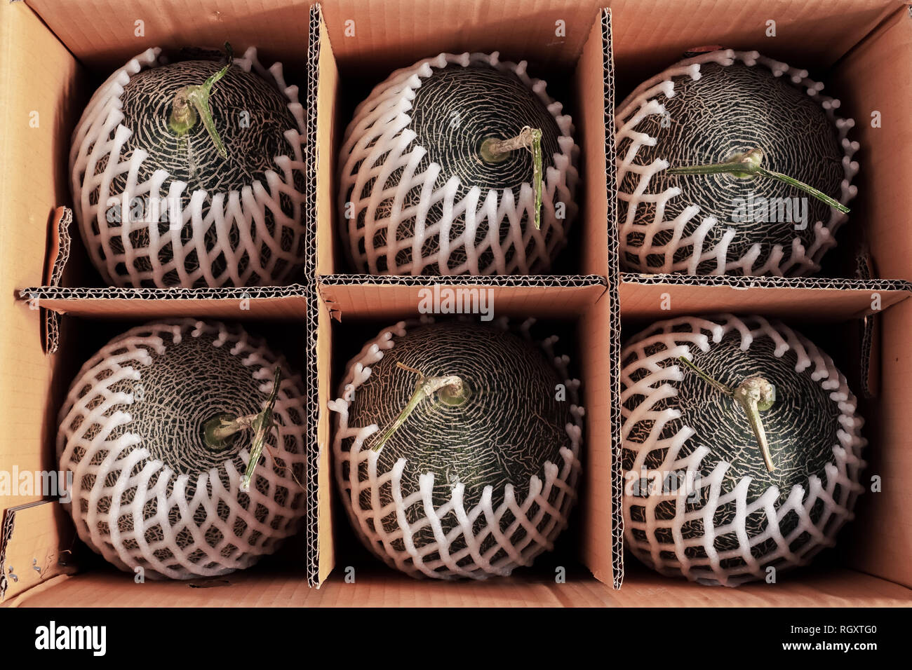 Melon in the six pack boxes The result is pretty big Stock Photo - Alamy