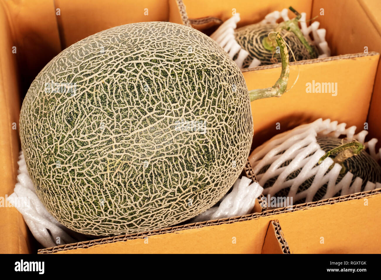 Melon in the six pack boxes The result is pretty big Stock Photo - Alamy
