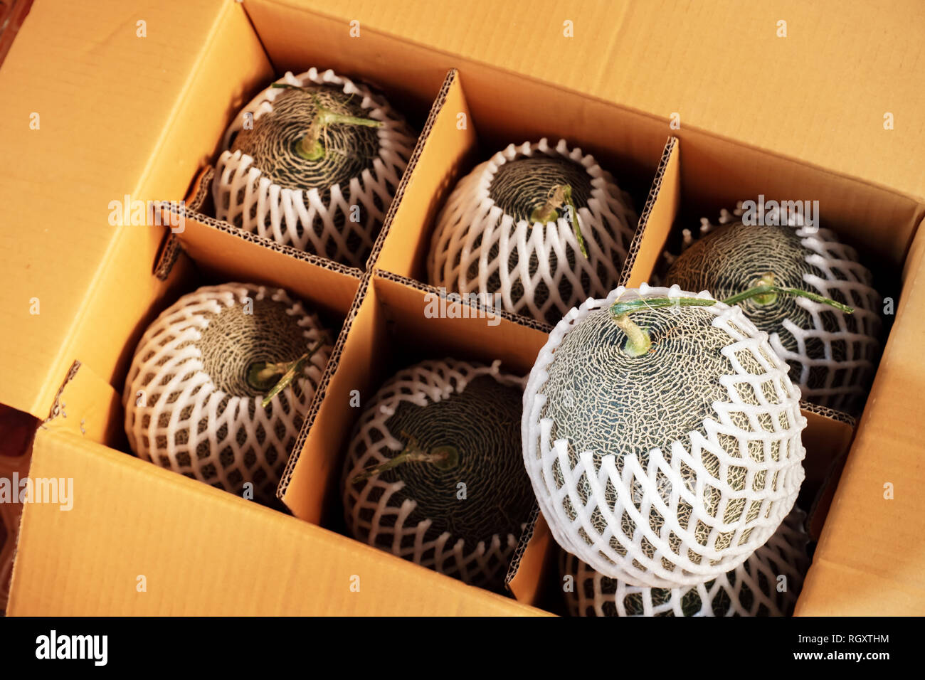 Melon in the six pack boxes The result is pretty big Stock Photo - Alamy