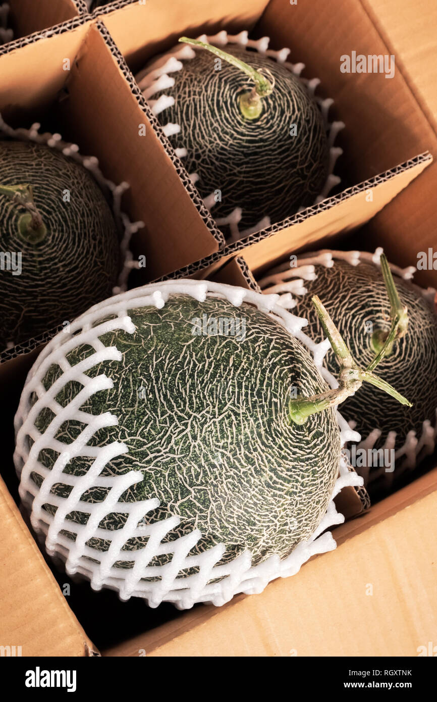 Melon in the six pack boxes The result is pretty big Stock Photo - Alamy