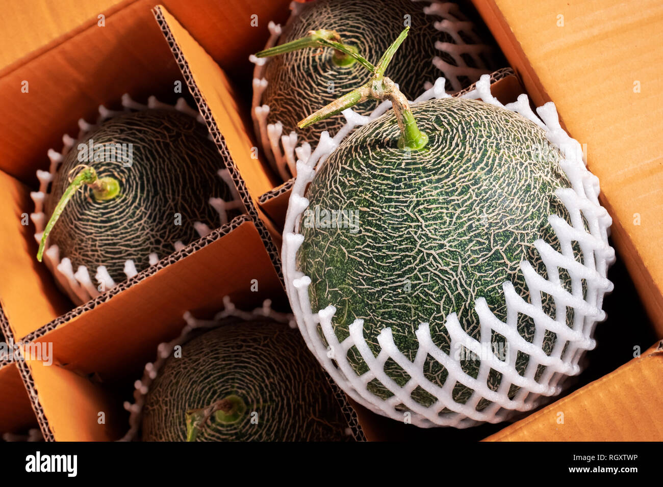 Melon in the six pack boxes The result is pretty big Stock Photo - Alamy