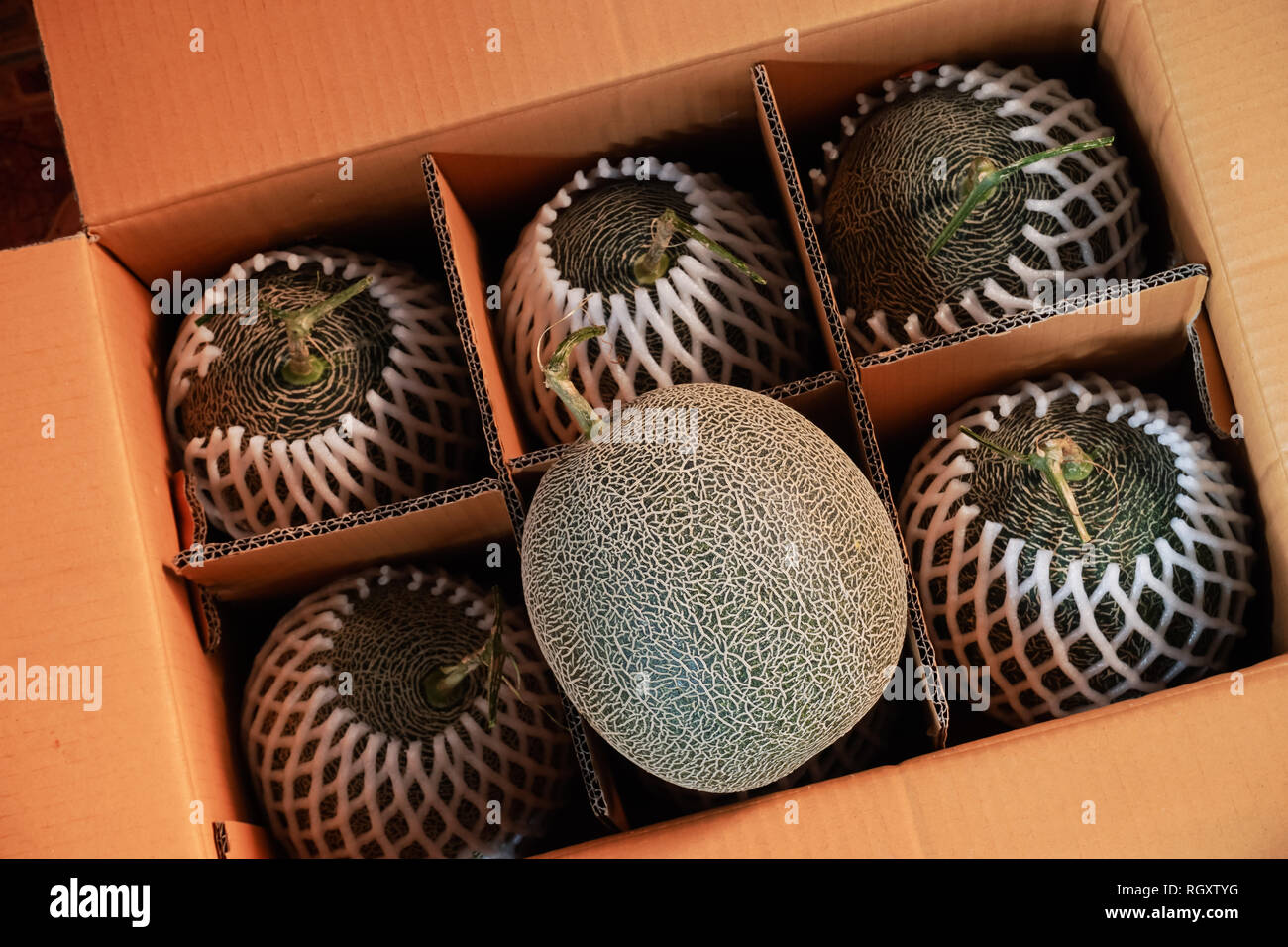 Melon in the six pack boxes The result is pretty big Stock Photo - Alamy