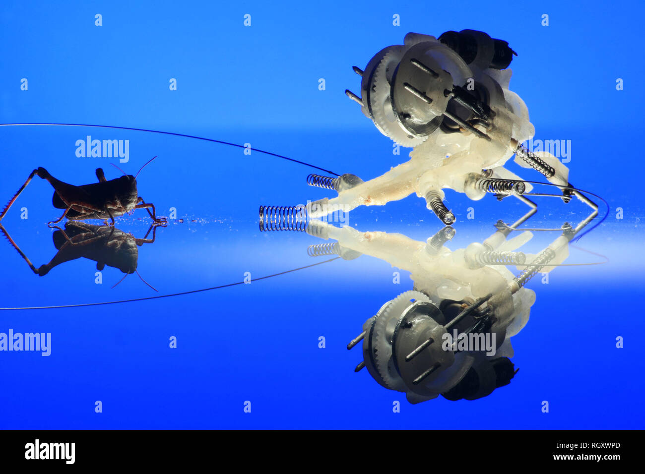 The first "Grillo" prototype, d. CAD design of the new robot with wings ...