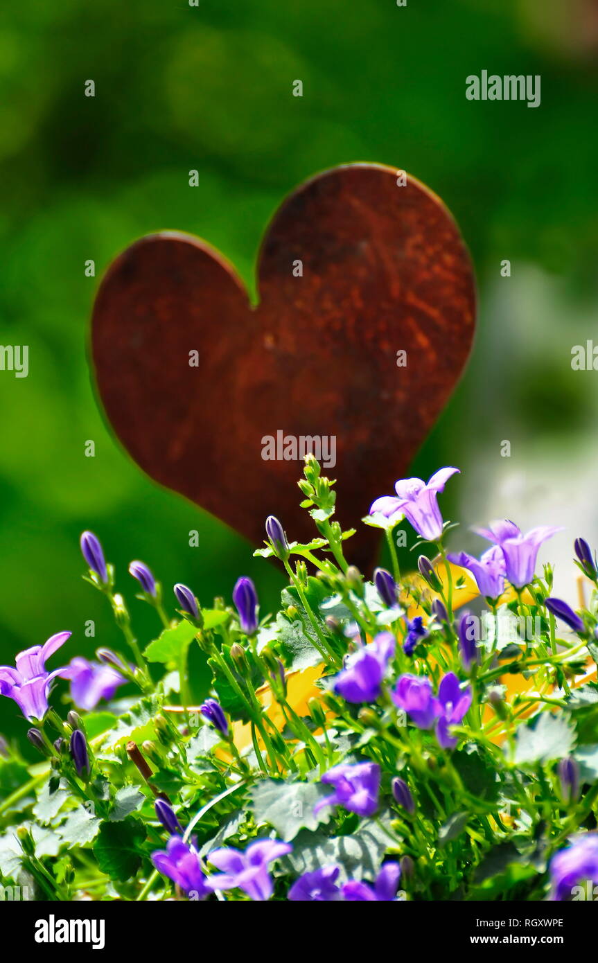 Bell flowers hi-res stock photography and images - Alamy