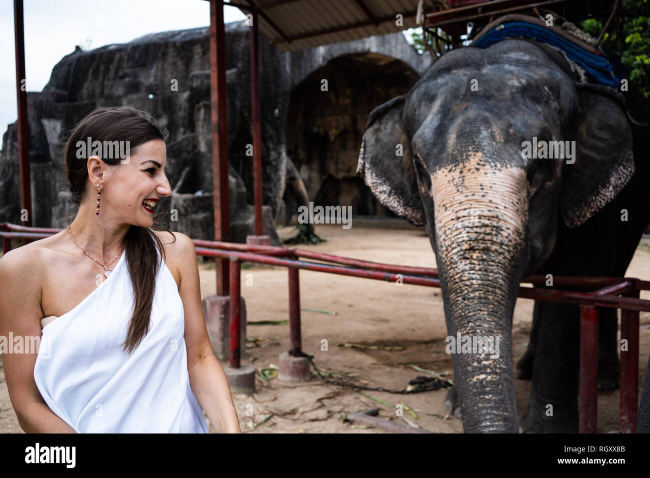 Happy woman watching and feeding elephants in zoo Stock Photo - Alamy