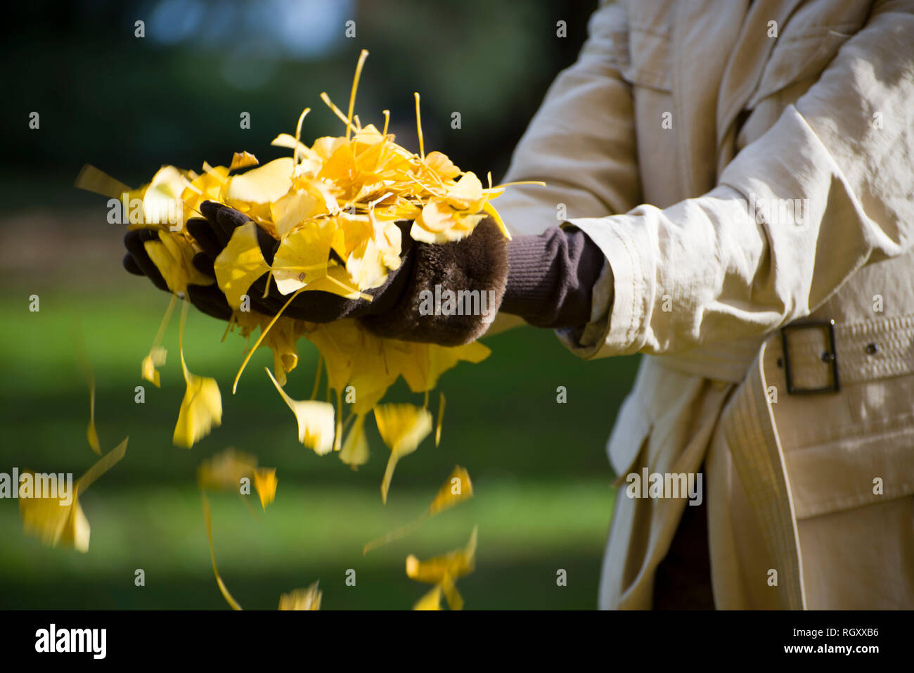 333dscdf hi-res stock photography and images - Alamy