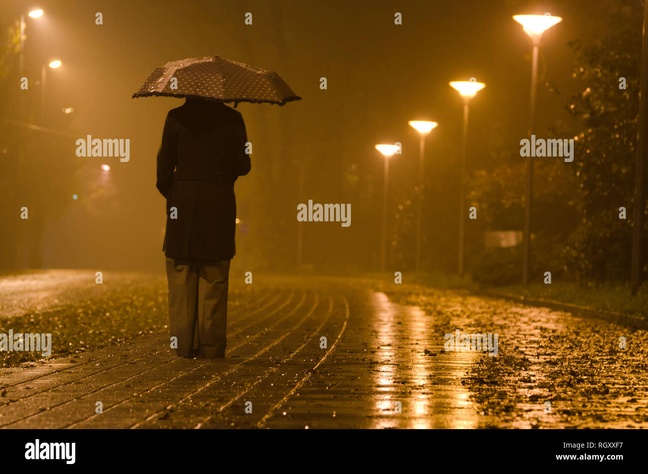 Standing Alone In The Rain