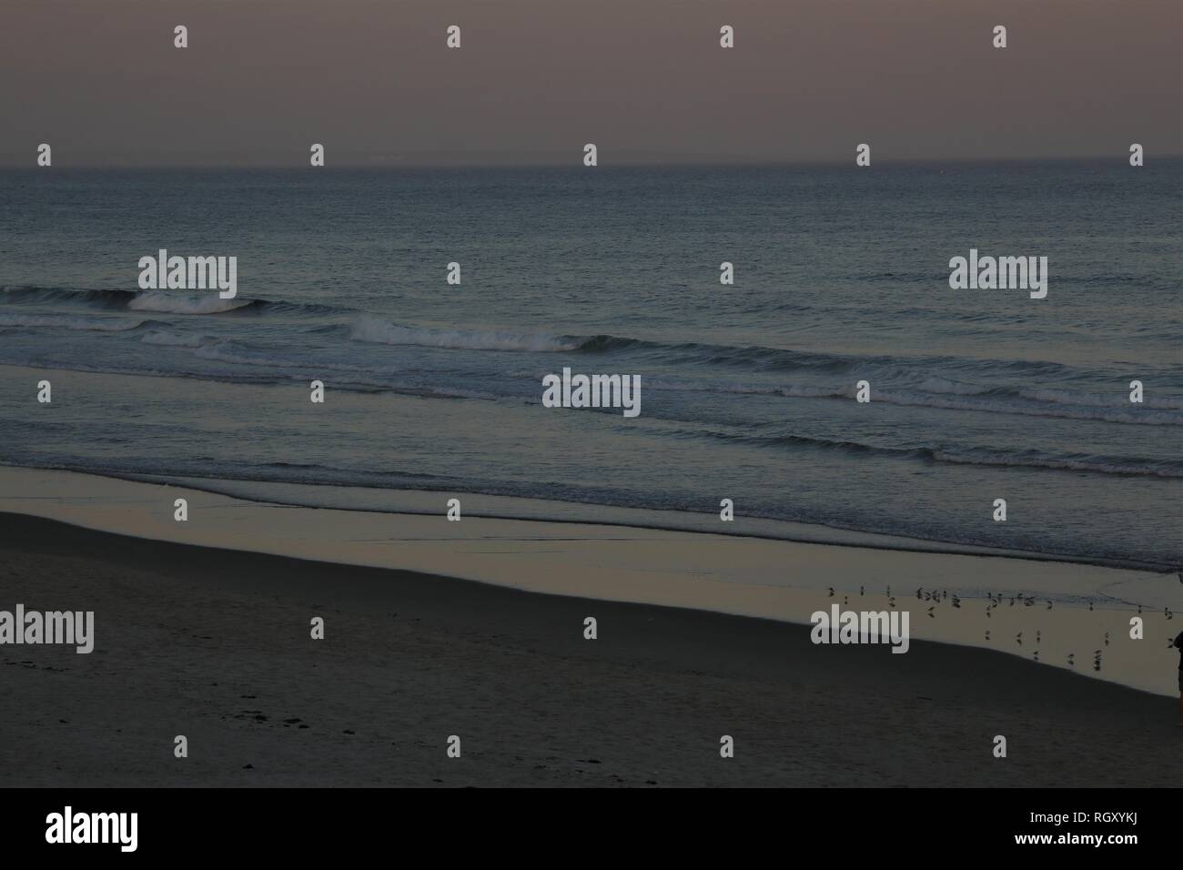 Shoreline sand water wet hi-res stock photography and images - Alamy