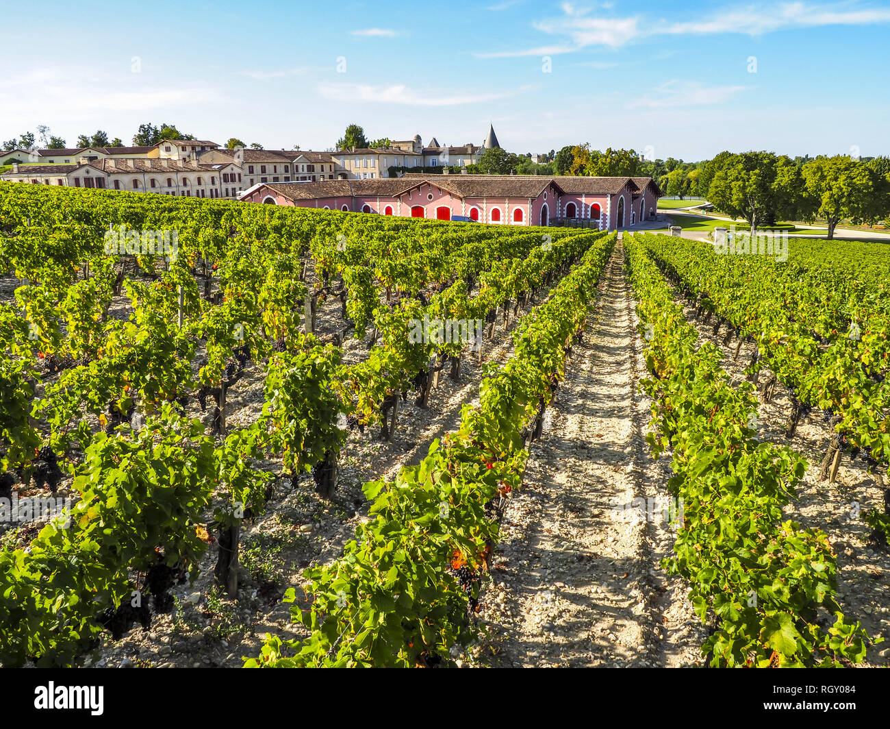Chateau Lafite Rothschild Stock Photo - Alamy