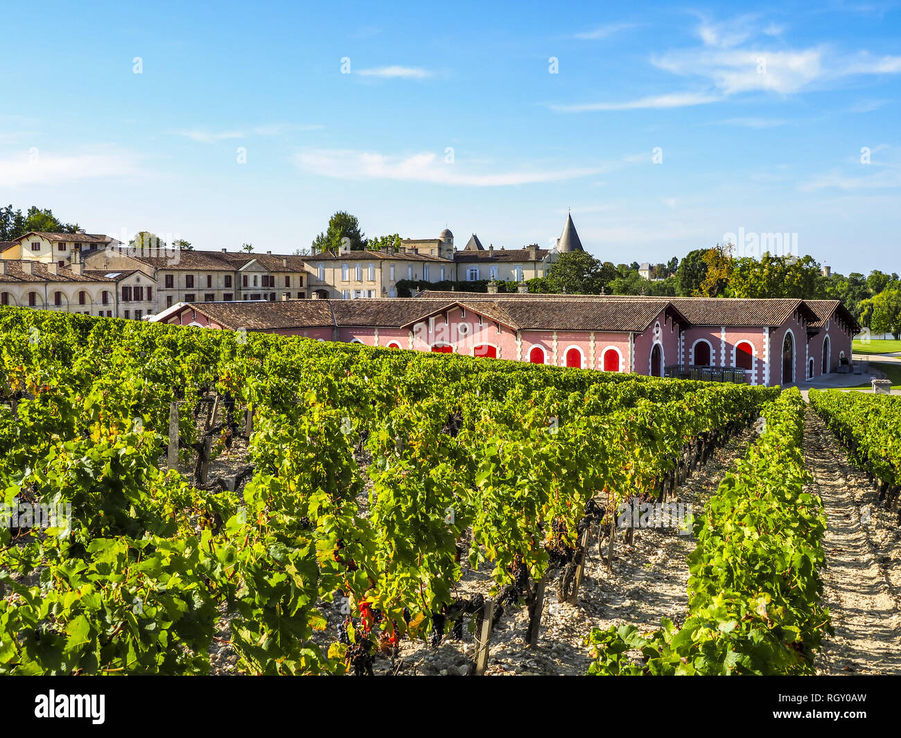 Chateau Lafite Rothschild Stock Photo - Alamy