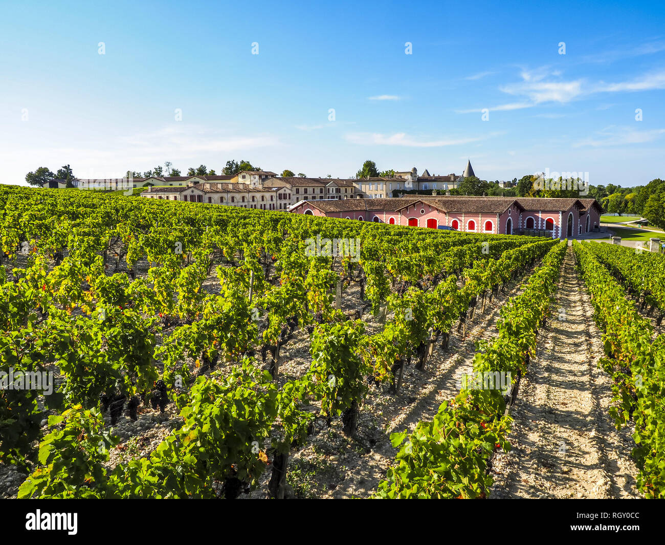 Chateau Lafite Rothschild Stock Photo - Alamy