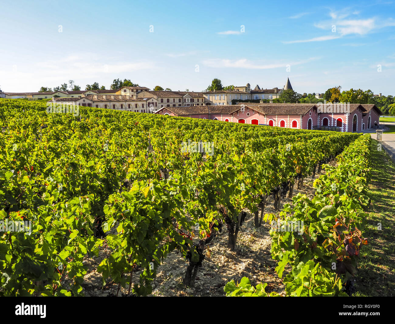 Château lafite rothschild hi-res stock photography and images - Alamy