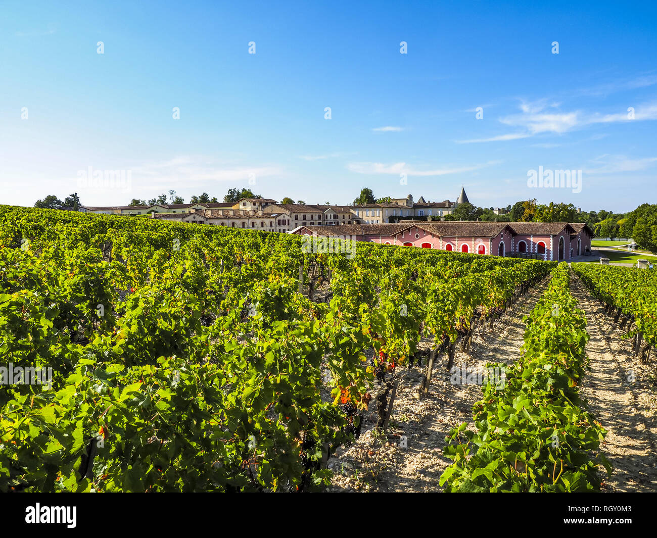 Chateau Lafite Rothschild Stock Photo - Alamy
