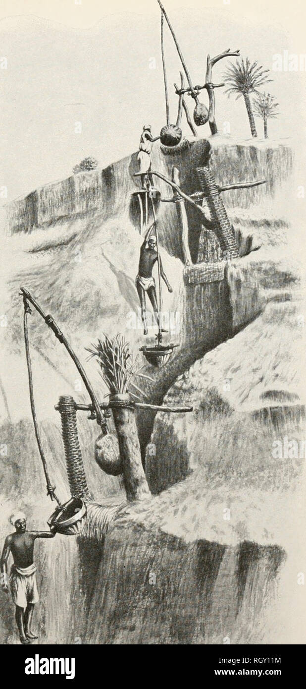 Shaduf irrigation hi-res stock photography and images - Alamy