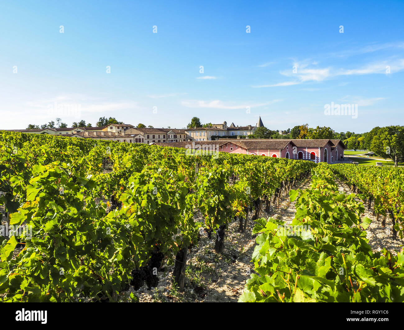 Chateau Lafite Rothschild Stock Photo - Alamy