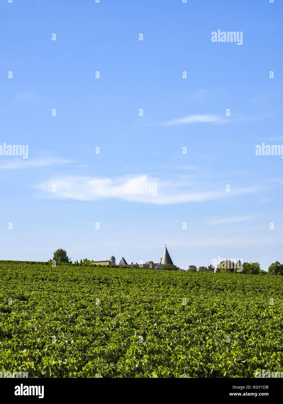 Chateau Lafite Rothschild Stock Photo - Alamy