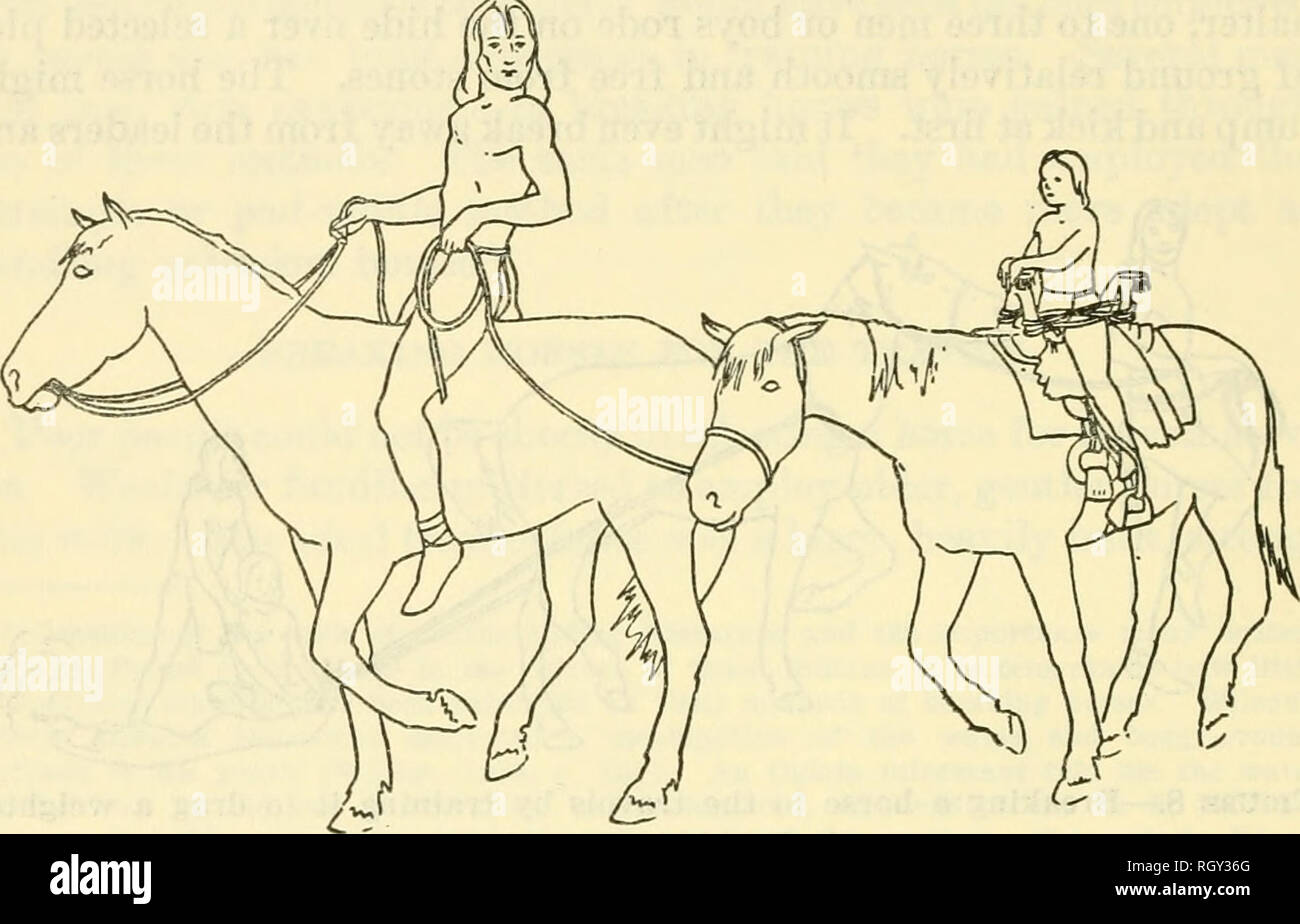 A Dog And Horse Travois With Cheyenne