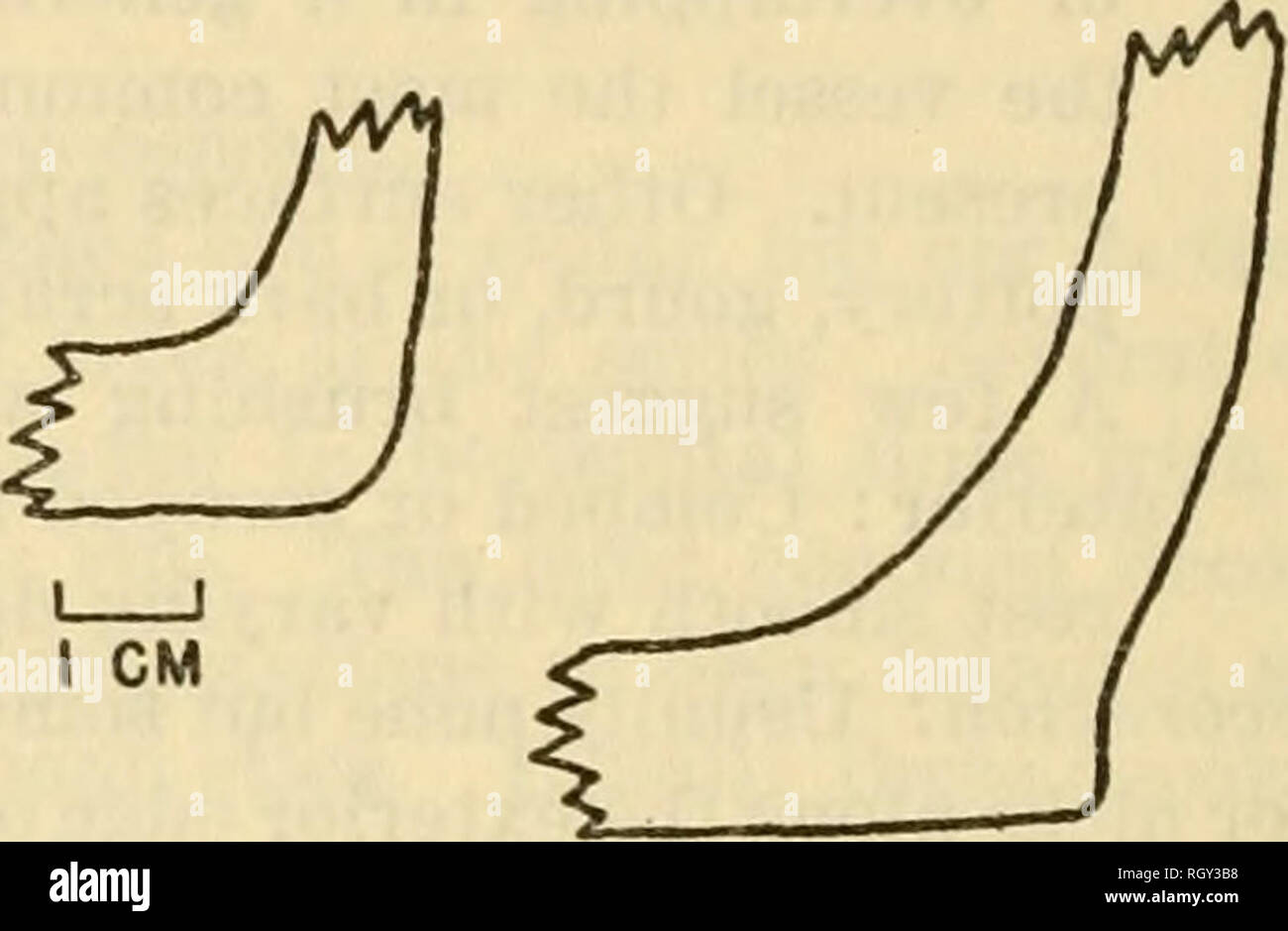 Wall thickness 0 8 cm hi-res stock photography and images - Alamy