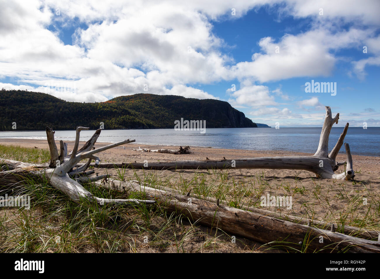 Beautiful view of a sandy beach during a sunny day. Taken in Old Woman ...