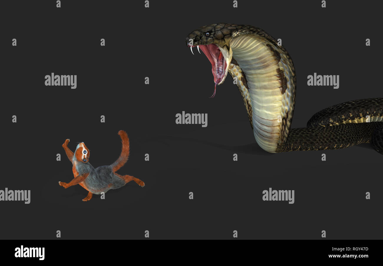 Devil snake hi-res stock photography and images - Alamy