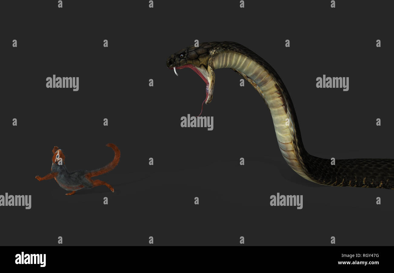 Devil snake hi-res stock photography and images - Alamy