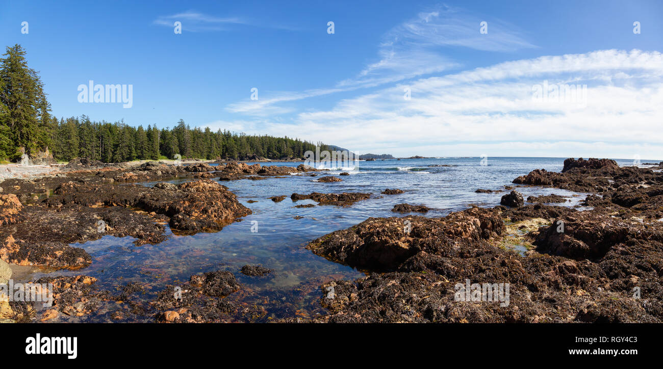 Rocky beach on the Pacific Ocean Coast during a sunny summer day. Taken ...