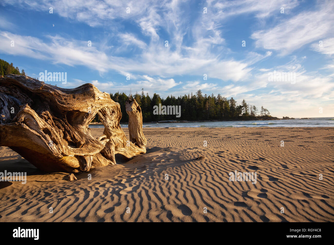 Beautiful sandy beach on the Pacific Ocean Coast during a vibrant ...