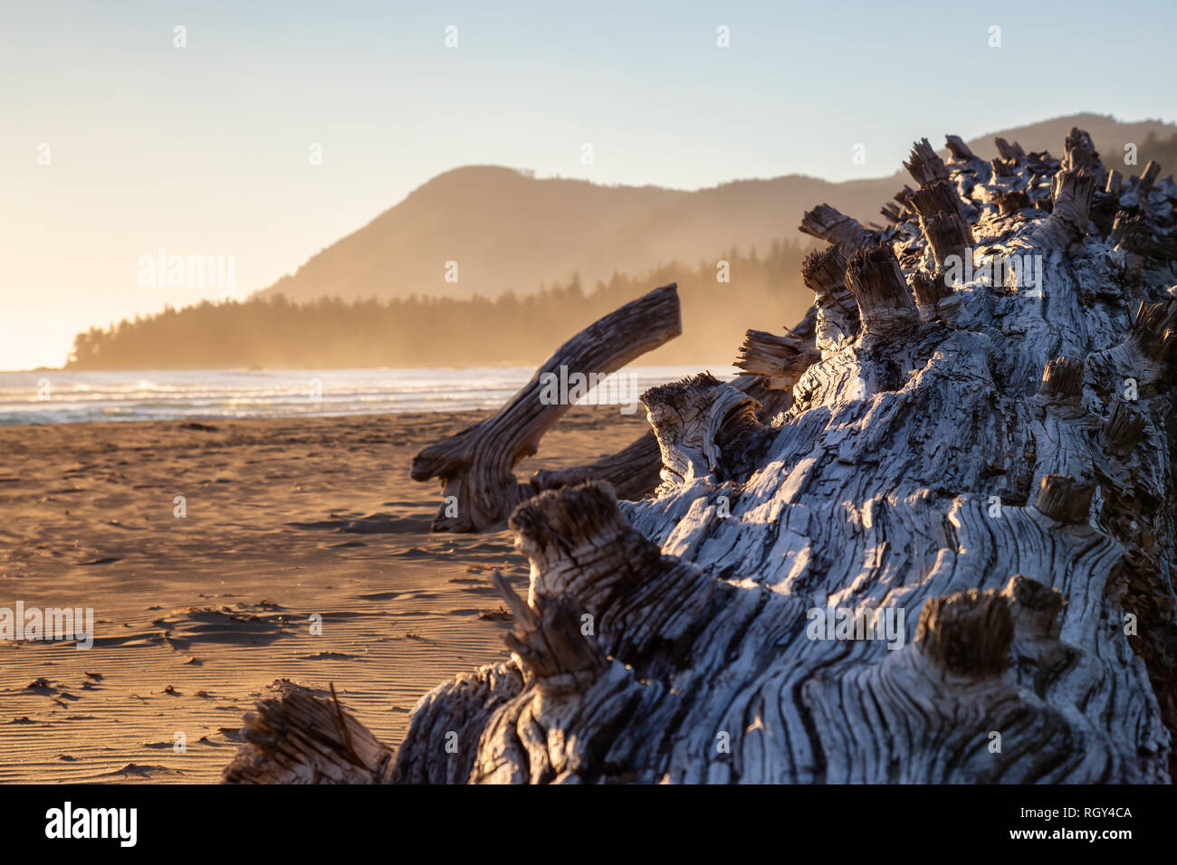 Beautiful sandy beach on the Pacific Ocean Coast during a vibrant ...