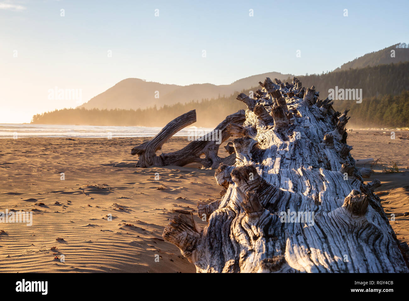 Beautiful sandy beach on the Pacific Ocean Coast during a vibrant ...