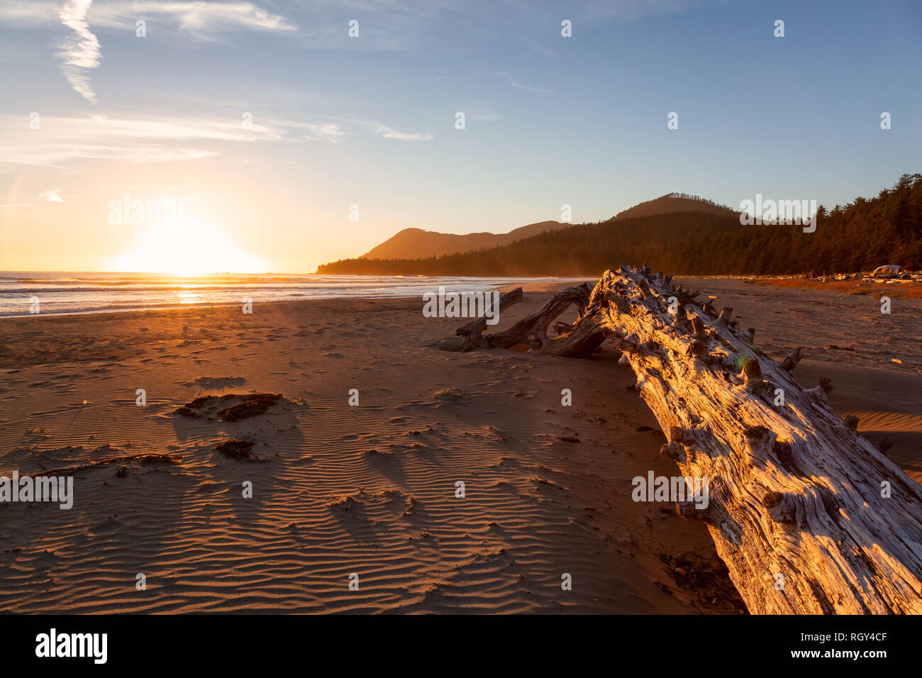 Beautiful sandy beach on the Pacific Ocean Coast during a vibrant ...