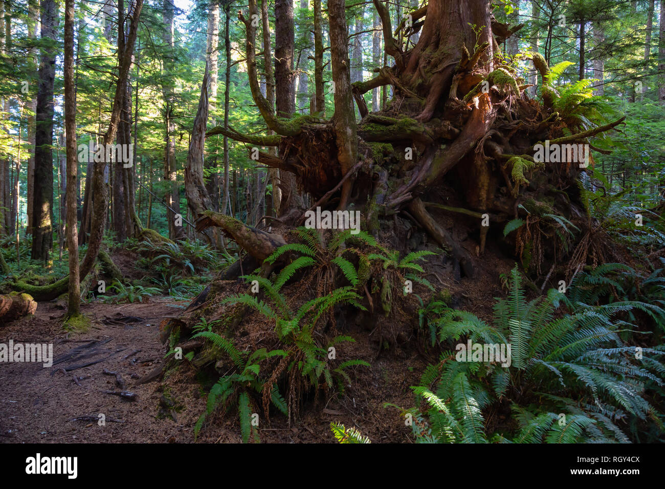 Grant bay trail hi-res stock photography and images - Alamy