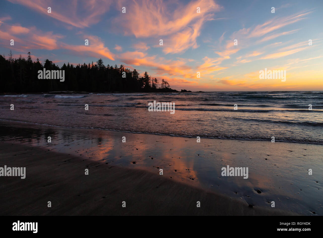 Beautiful sandy beach on the Pacific Ocean Coast during a vibrant ...