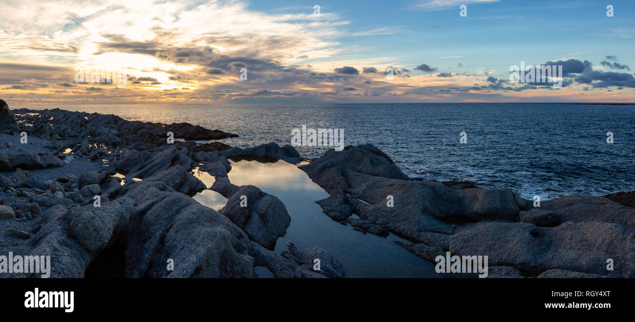 Cow head newfoundland hi-res stock photography and images - Alamy