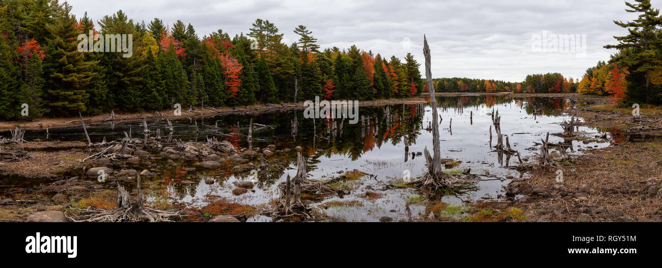 Beautiful Canadian Landscape view by the lake during Fall Season. Taken ...