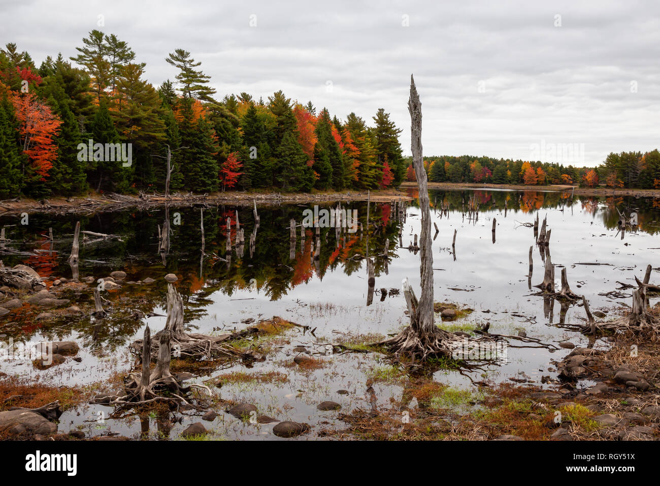 Beautiful Canadian Landscape view by the lake during Fall Season. Taken ...